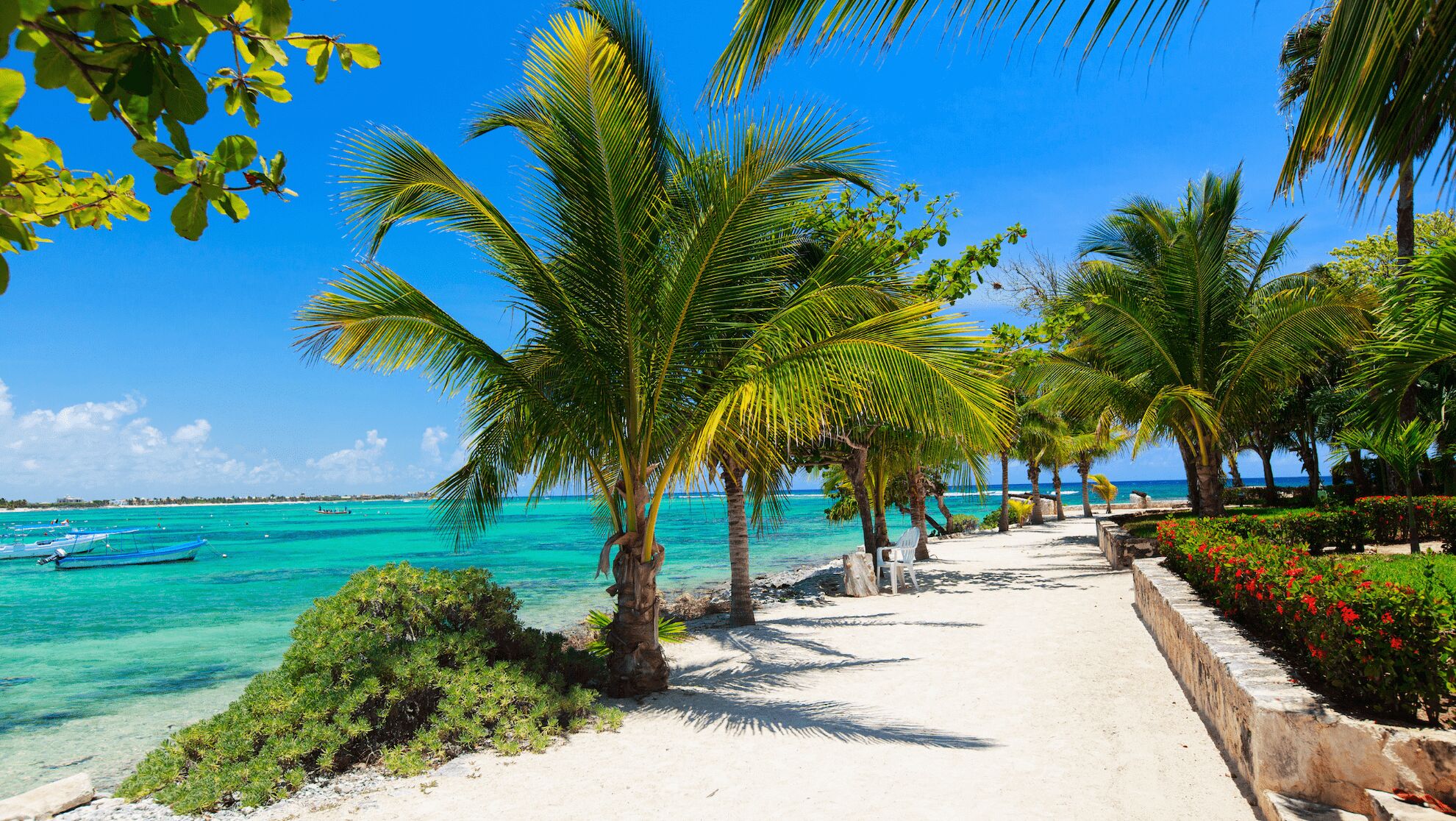 Excursion à Akumal : Nage avec les Tortues et Snorkeling