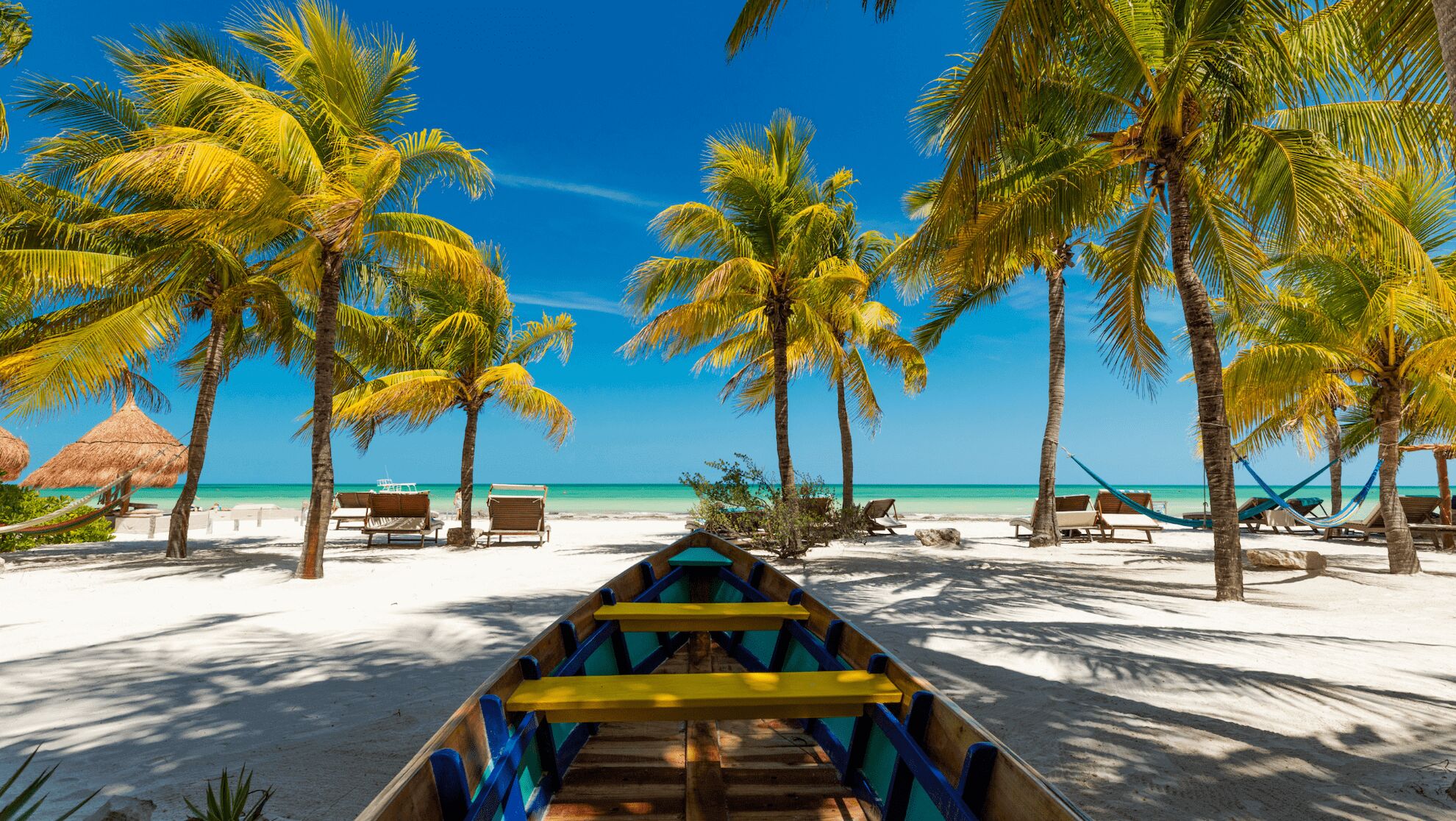 Excursion à Holbox : Cenotes, Îles et Nature